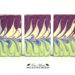 Gallery - Tree Marie Soapworks